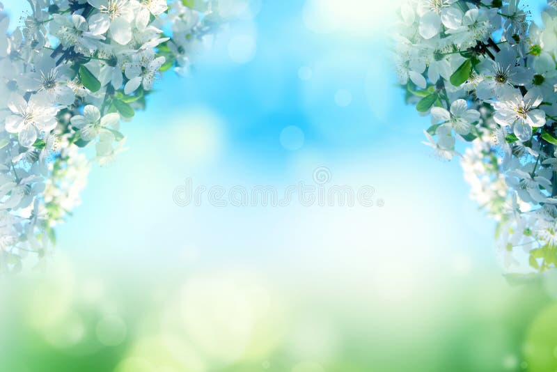 Art Abstract Spring Background with Spring Blooming Stock Photo - Image ...