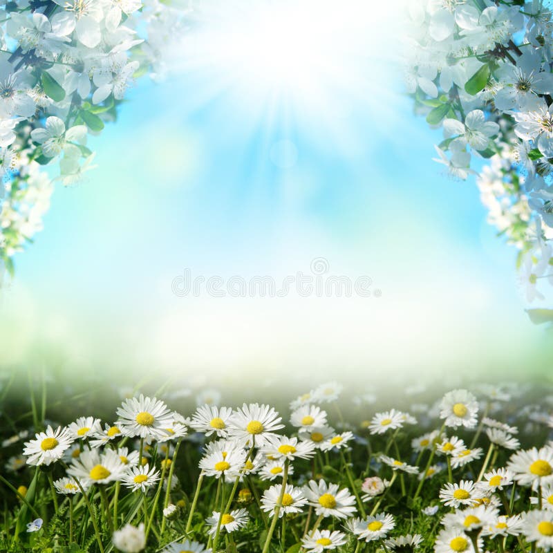 Art Abstract Spring Background with Spring Blooming Stock Illustration ...