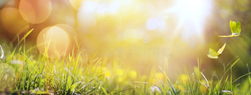 Art Abstract Spring Floral Background for Design Stock Photo - Image of ...