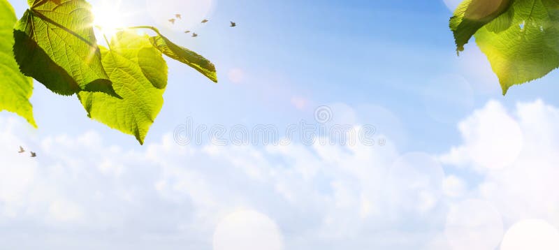 Art Abstract Spring Floral Background for Design Stock Photo - Image of ...