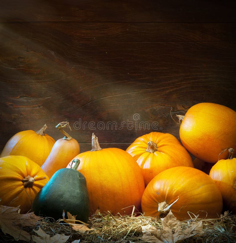 Art Autumn Pumpkin Thanksgiving Background Stock Photo - Image of ...