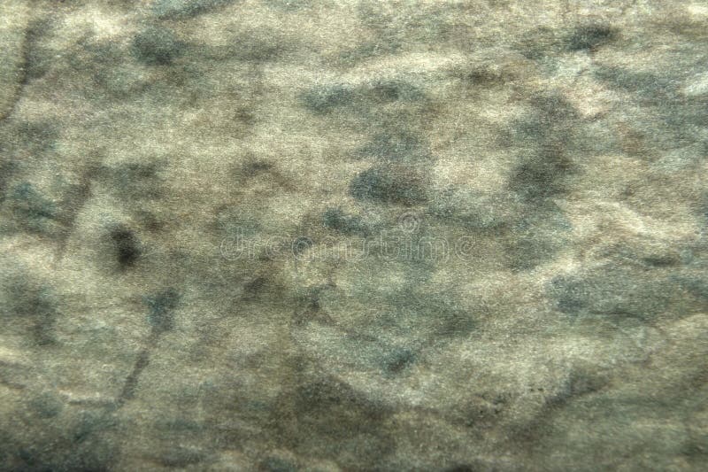 Art Background of Ink Blots in Green Stock Image - Image of circle ...