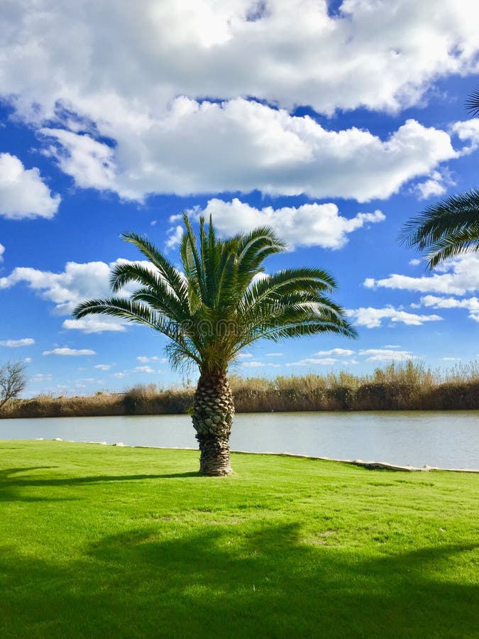 Art Beautiful Seaside View the Background Landscape Stock Image - Image ...