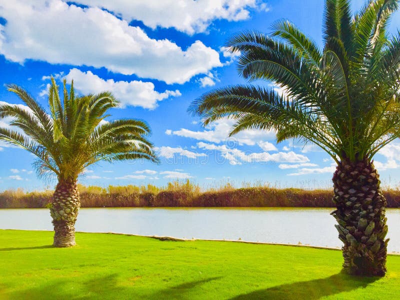 1,426 Art Beautiful Seaside View Background Stock Photos - Free ...