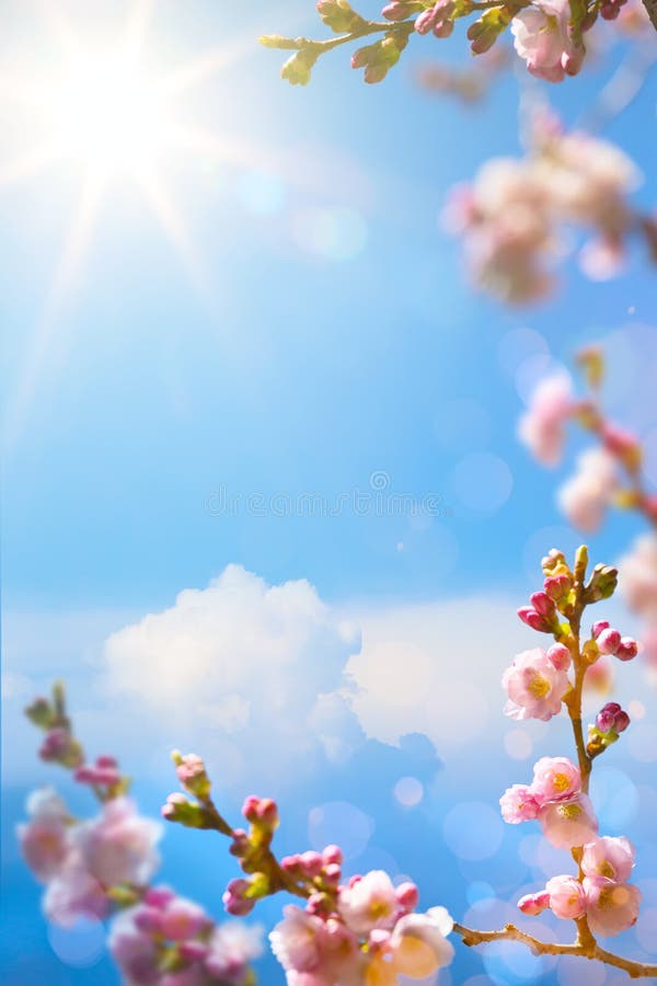 Art Beautiful Spring Morning Nature Background Stock Image - Image of ...