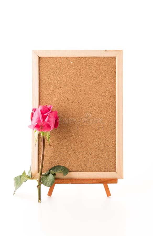 Art board with rose stock photo. Image of gift, coral - 86162792