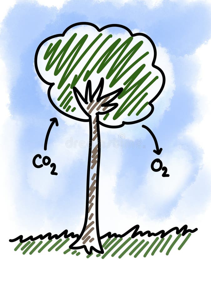 Cartoon tree for education stock illustration. Illustration of leaf ...