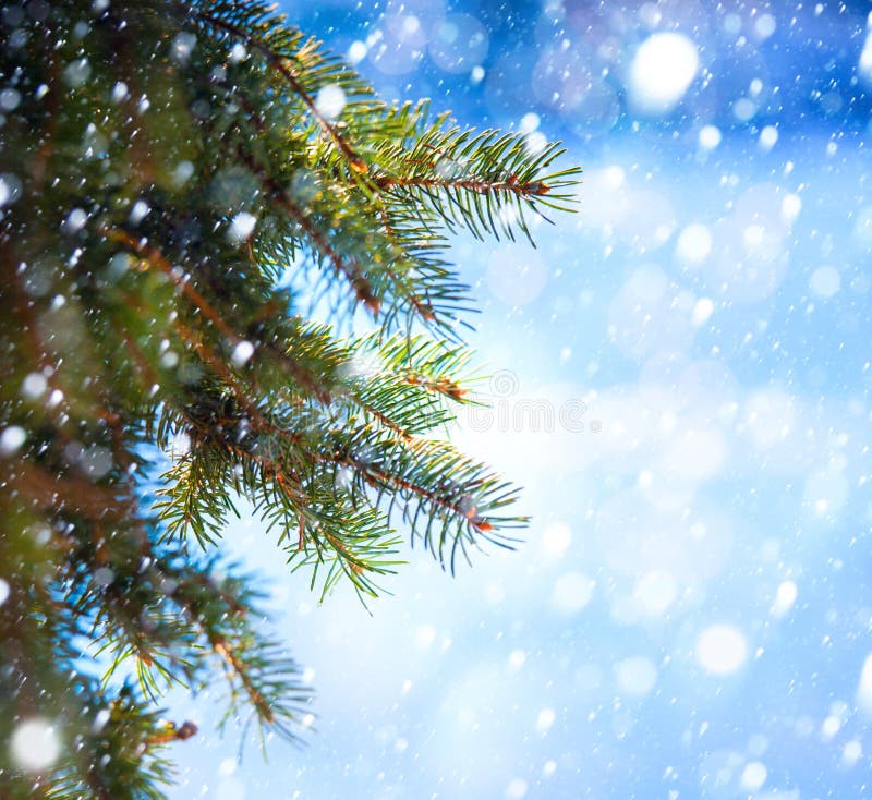 Art Christmas Tree Branch and Snow Fall Stock Photo - Image of card ...
