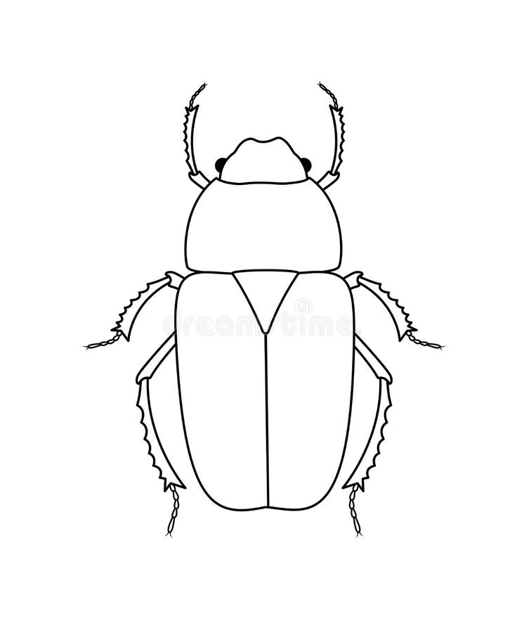 Art De Dessin D'insecte De Scarabée Illustration de Vecteur ...