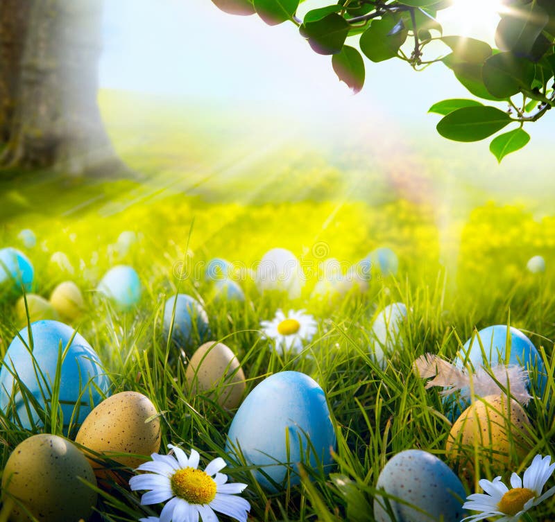 Art Colorful Easter Eggs Decorated with Flowers in the Grass Stock ...