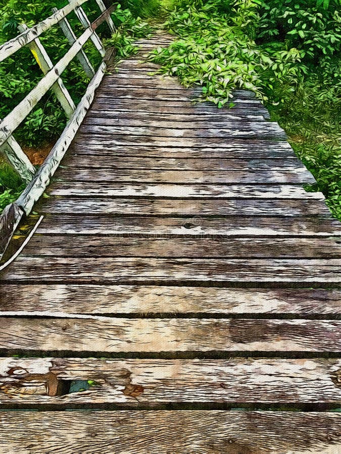 Drawing Color of Wooden Way in Forest Stock Illustration - Illustration ...