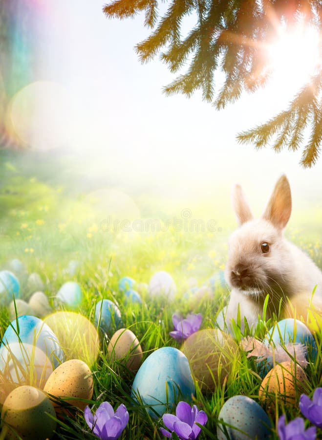 Art Easter Bunny Rabbit and Easter Eggs on Meadow. Stock Image - Image ...