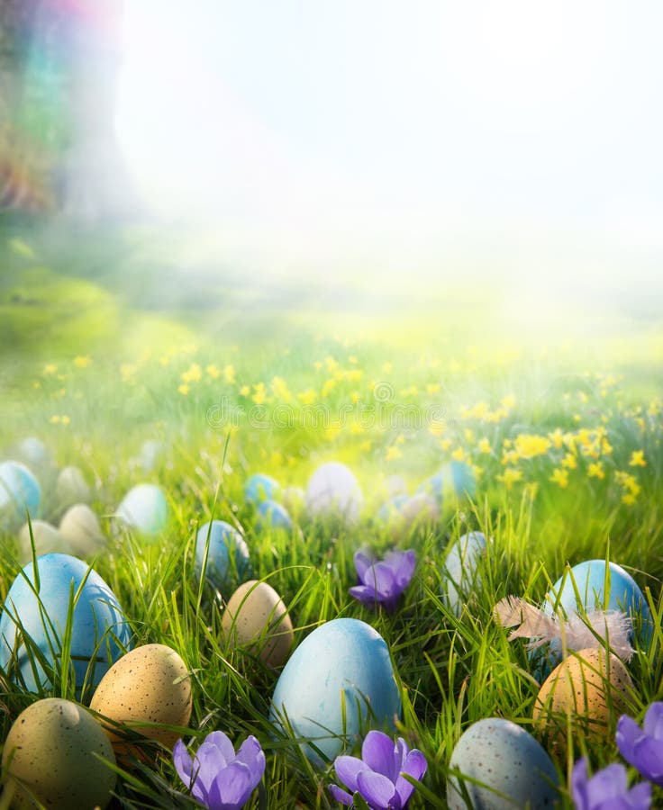 Art Easter-Eier Auf Wiese Mit Narzissenblume Stockbild - Bild von karte ...