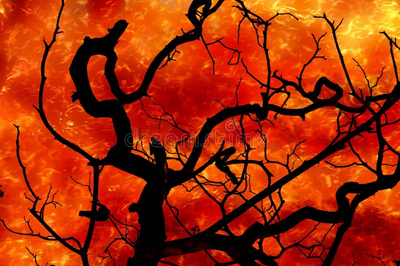 Burning Tree Stock Illustrations – 3,535 Burning Tree Stock ...