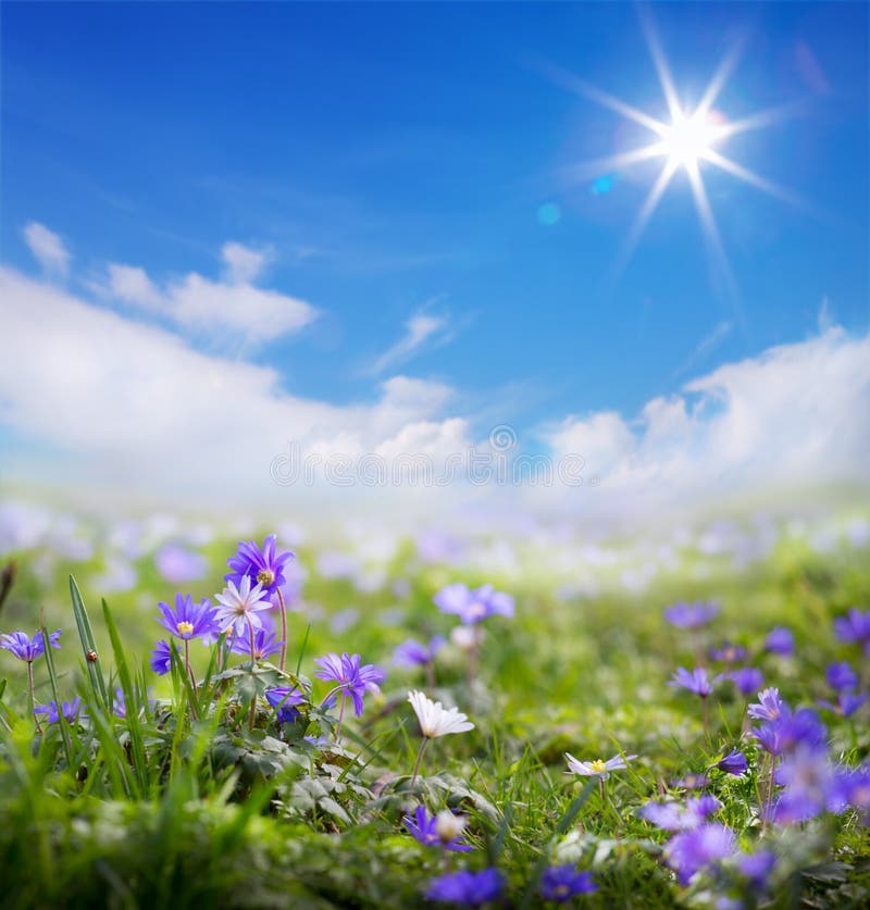 Art Floral Spring or Summer Background Stock Photo - Image of landscape ...