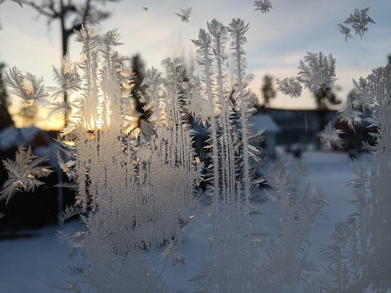 Christmas window stock photo. Image of ornate, blue - 131181862
