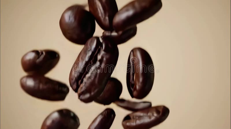 The Art of Gravity, As Beans Fall with Poise and Intention Stock ...