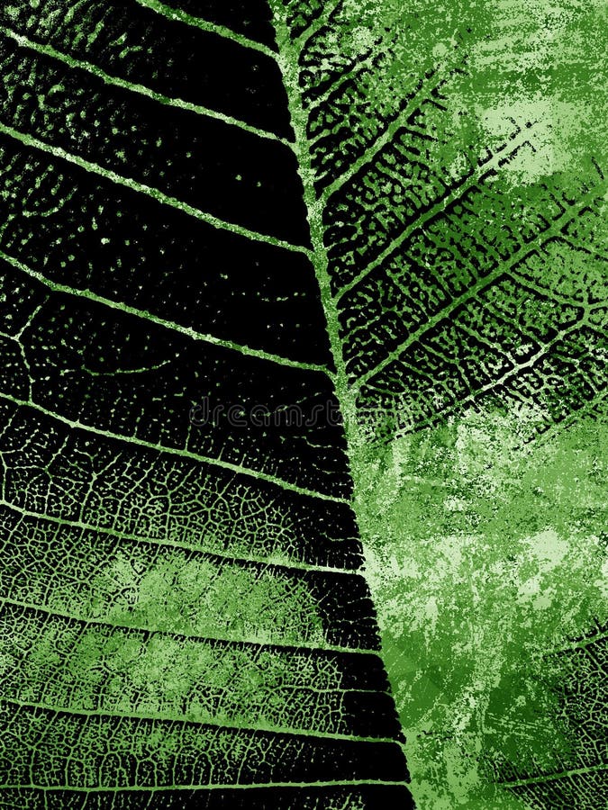 Art Green Color Abstract Pattern Background Stock Illustration ...