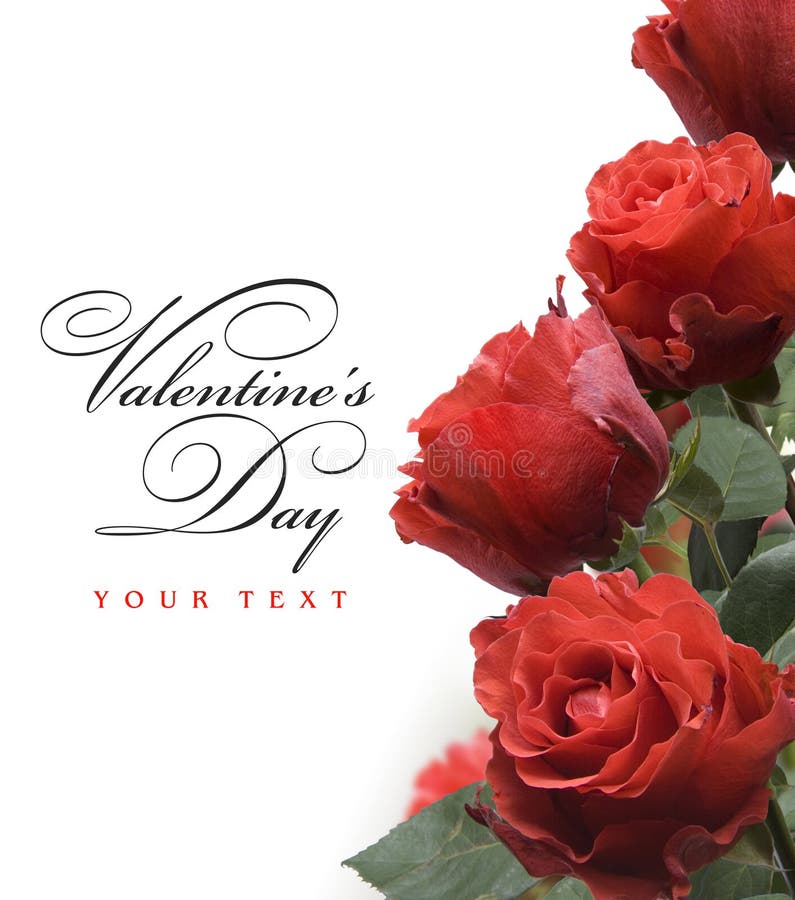Art Greeting Card with Red Roses Stock Photo - Image of isolated ...