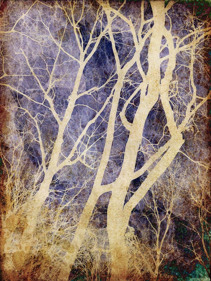 Dry grunge tree stock photo. Image of environment, life - 18648134