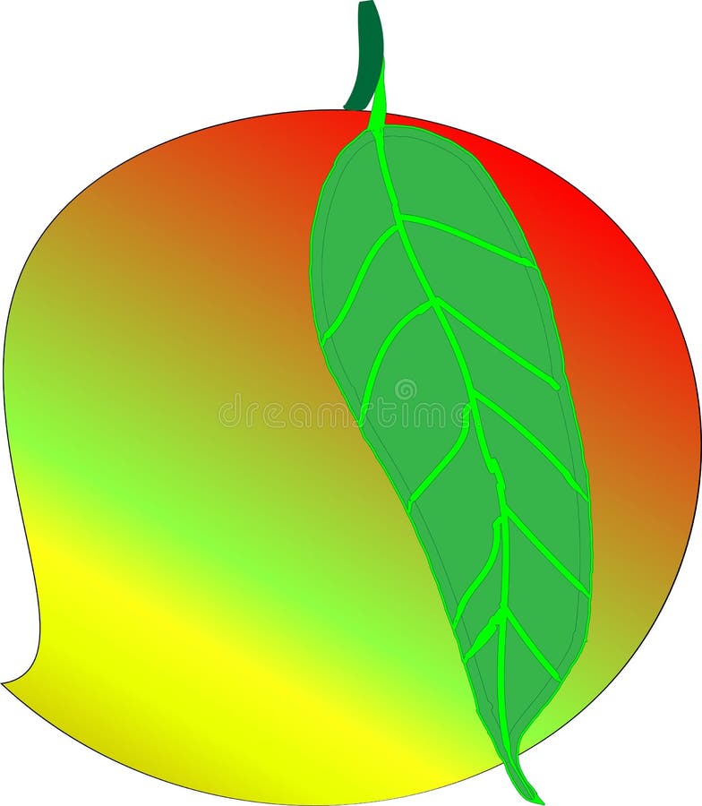 Mango with Leaf Vector or Illustration Art Illustration Stock Vector ...