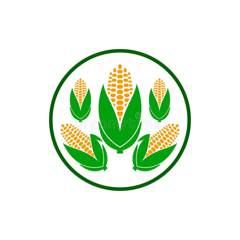 Corn logo/family farm stock vector. Illustration of logofamily - 102319407