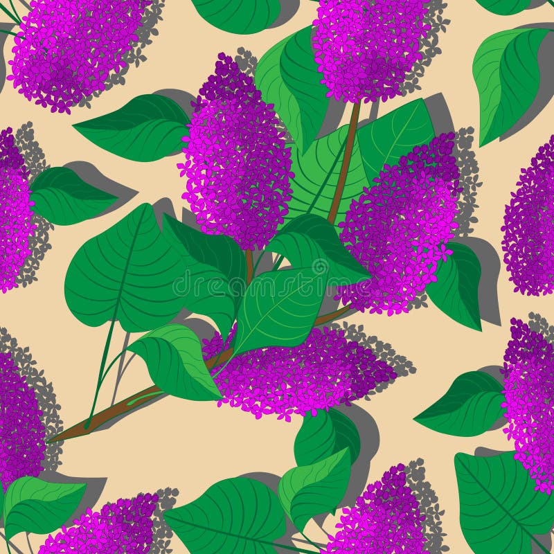 Seamless Floral Pattern with Lilac Flowers. Vector Stock Vector ...
