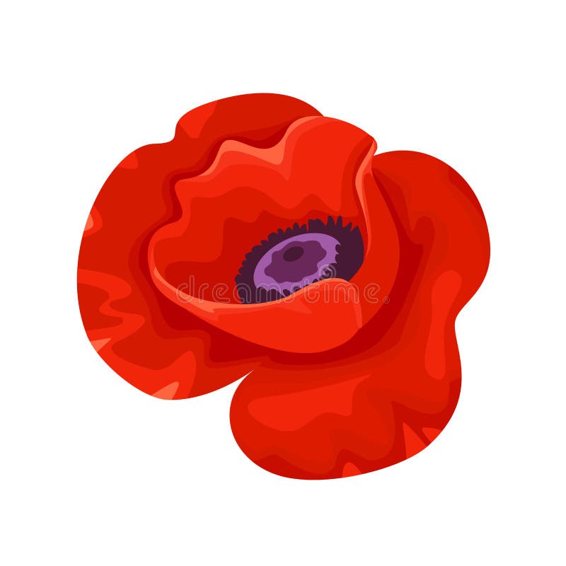 Red Poppy Flower Vector Stock Illustrations – 10,855 Red Poppy Flower ...
