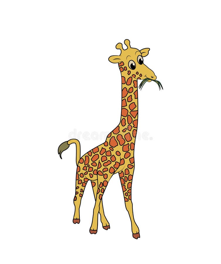 Cute Happy Giraffe Chewing Greens Isolated On White Background Stock