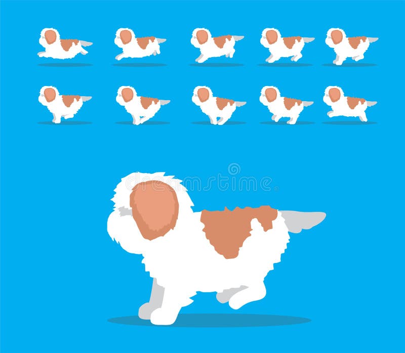Animal Animation Sequence Dog Shih Tzu Cartoon Vector Stock Vector ...