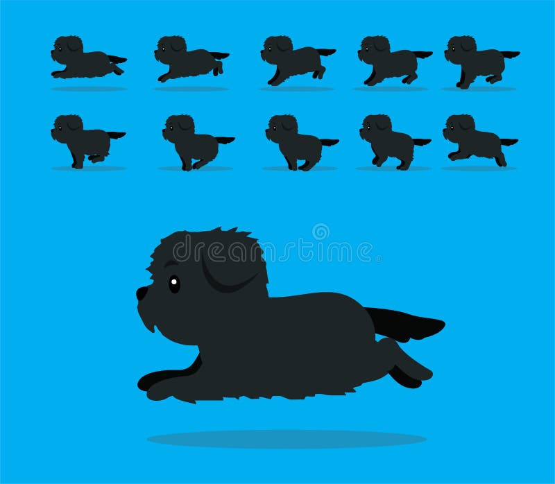 Animal Animation Sequence Dog Maltese Cartoon Vector Black Coat Stock ...