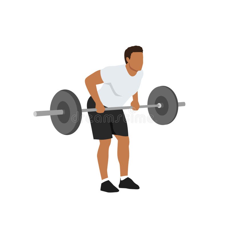 Barbell Bent Over Rows Stock Illustrations – 28 Barbell Bent Over Rows ...