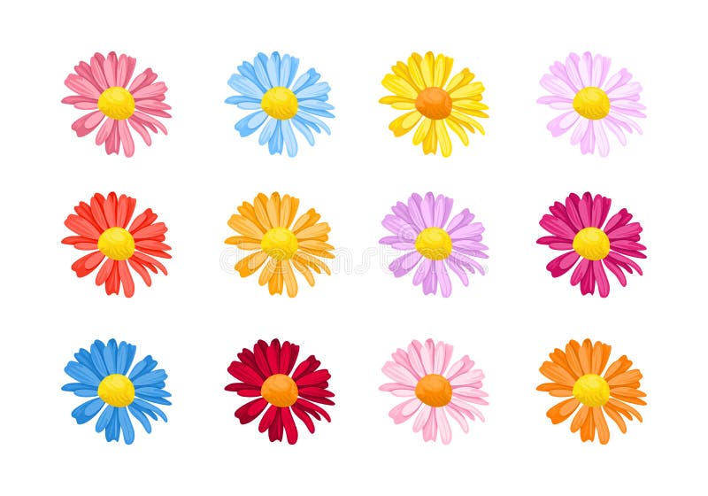 Set of Daisies Flowers of Different Colors Isolated Stock Vector ...