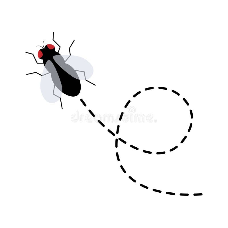 Flies Icon. Fly Insect Flying on Dotted Route Stock Illustration ...