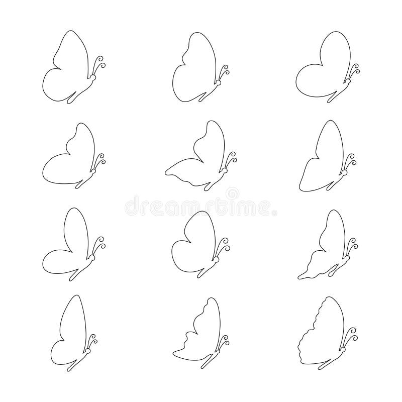 Butterfly Line Set. Various Butterflies Linear Shapes Collection Stock ...
