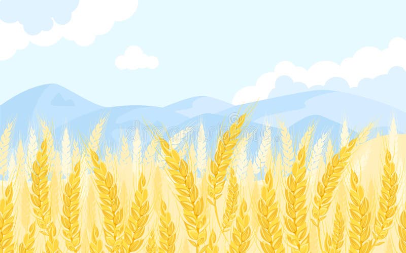 Golden Wheat Field and Blue Sky. Vector Cartoon Illustration Stock ...
