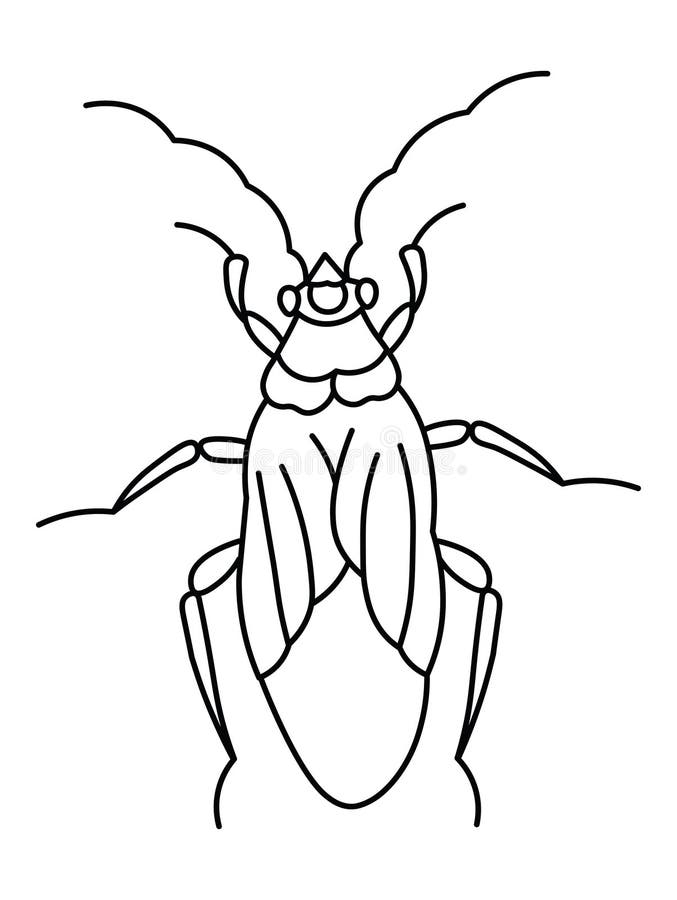 Cockroach Pest, Contour Illustration of a Cockroach, Side View Stock ...