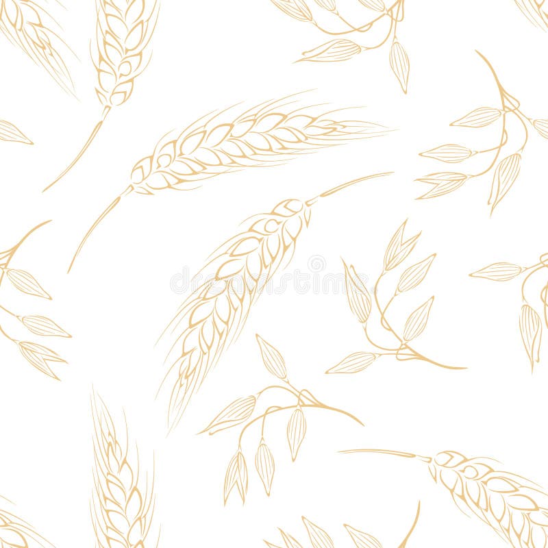 Oats Seamless Pattern. Botanical Background with Ears and Seeds of Oat ...