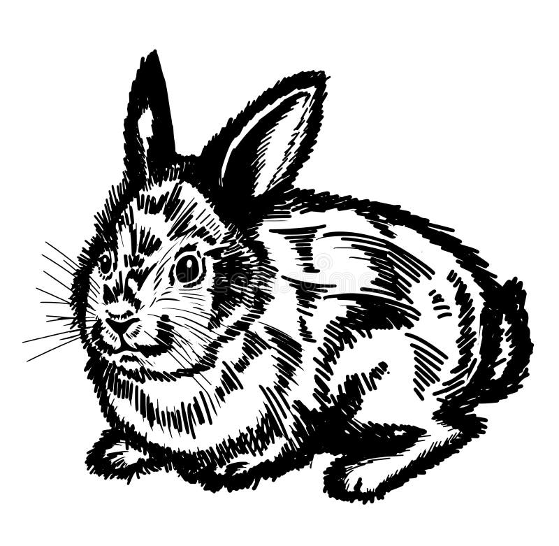 Cute Rabbit Bunny Hand Drawn Sketch.Ink Seated Hare Stock Image - Image ...