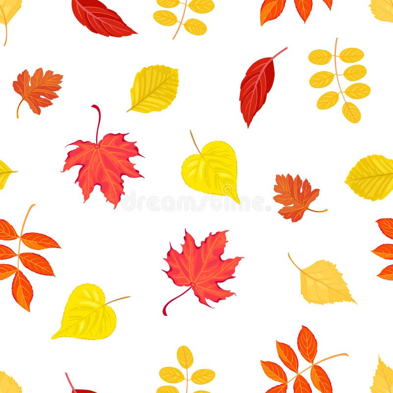 Botanical Autumn Background. Seamless Pattern with Colorful Fallen ...