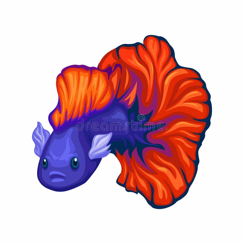 Siamese Fighting Fish. Asian Exotic Fish Species Illustration Vector ...