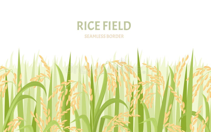 Rice Ears and Grains Background. Vector Seamless Pattern with Cereal ...