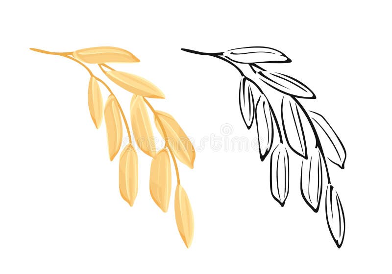 Rice Plant Line Drawing Stock Illustrations – 617 Rice Plant Line ...