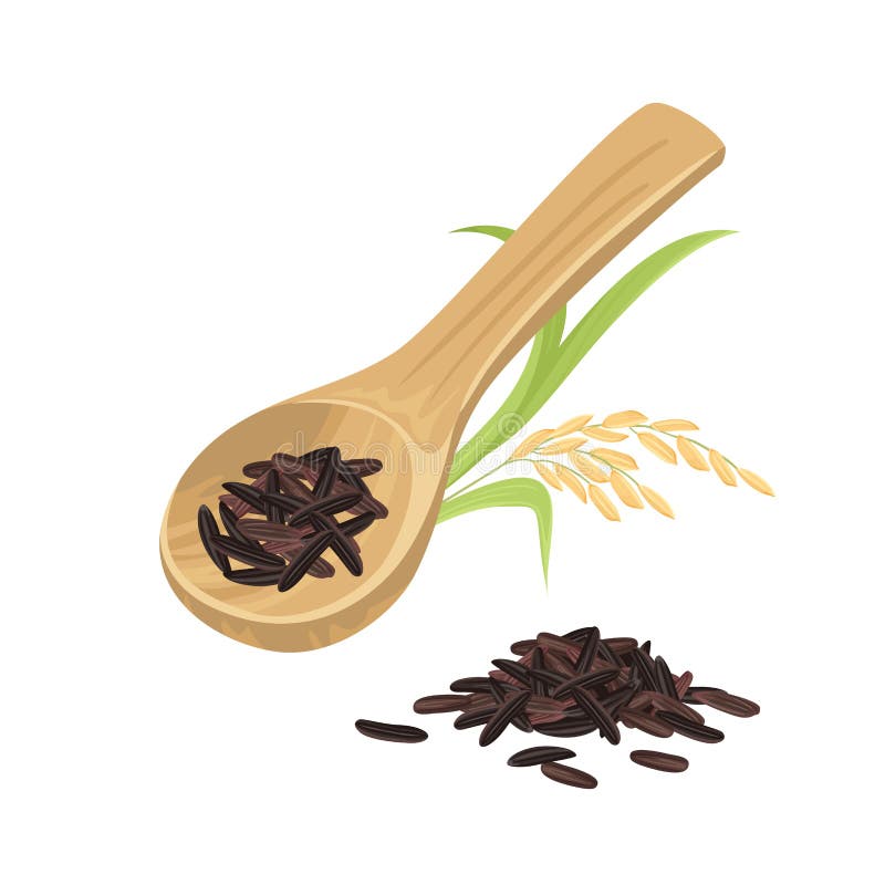 Dark Wild Rice Heap in Wooden Bowl Isolated on White Background. Vector ...