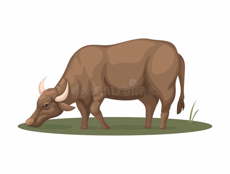 Farm Buffalo Drink Water on Swamp. Rural Animal Life Illustration ...