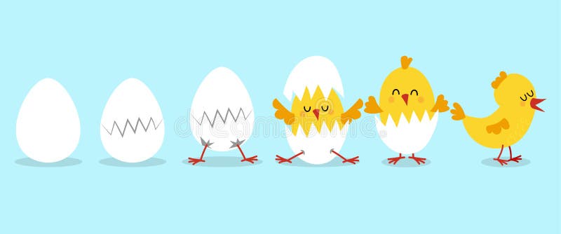 Cute Chicks with Eggshell and Hatching Eggs. Process Baby Chicken ...