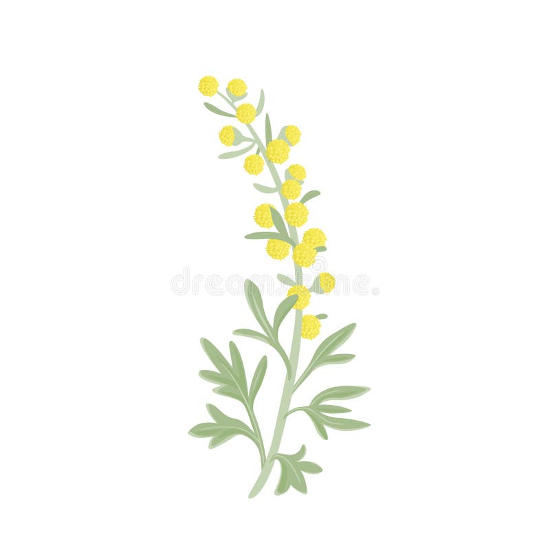Sagebrush Clipart
