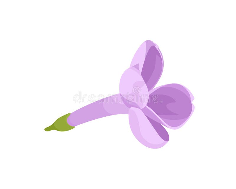 Lilac Flower Cartoon Icon. Vector Illustration of Spring Flower Stock ...
