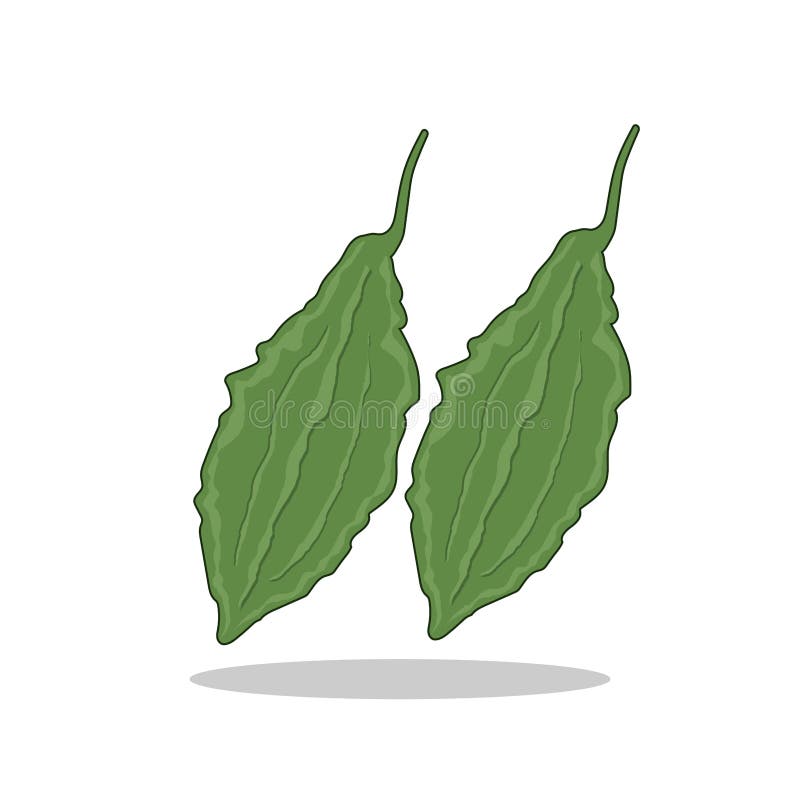 Icon Vegetables of Bitter Melon Stock Illustration - Illustration of ...