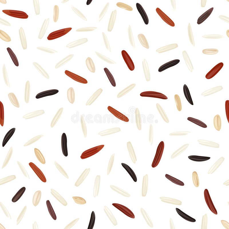 Rice Seeds Background. Seamless Pattern with Different Types of Rice ...